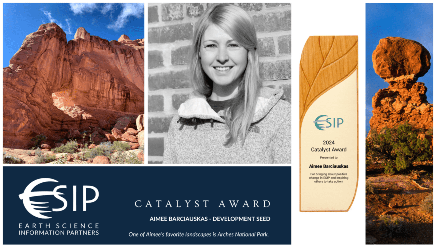 Celebrate Our 2024 Award Winners With ESIP - ESIP